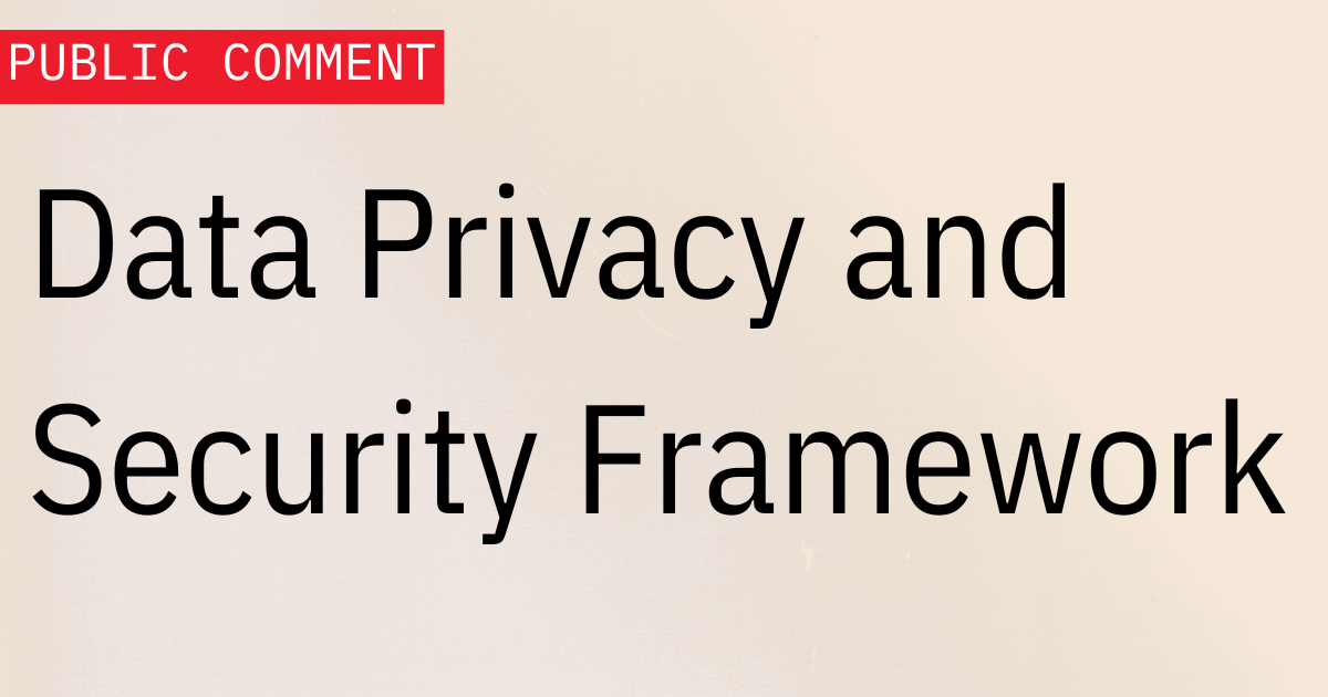 Data Privacy and Security Framework