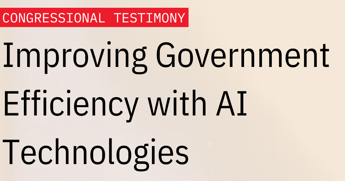 Improving Government Efficiency with AI Technologies